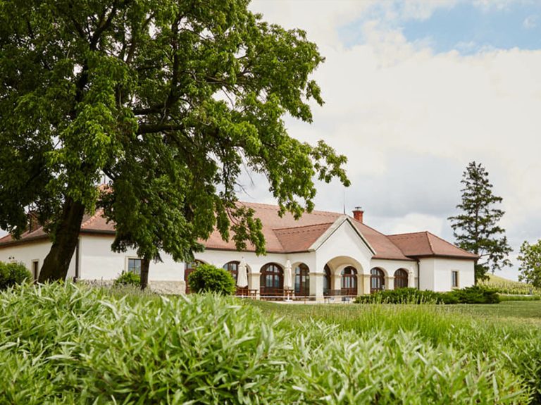 Patricius – Wines of Hungary UK